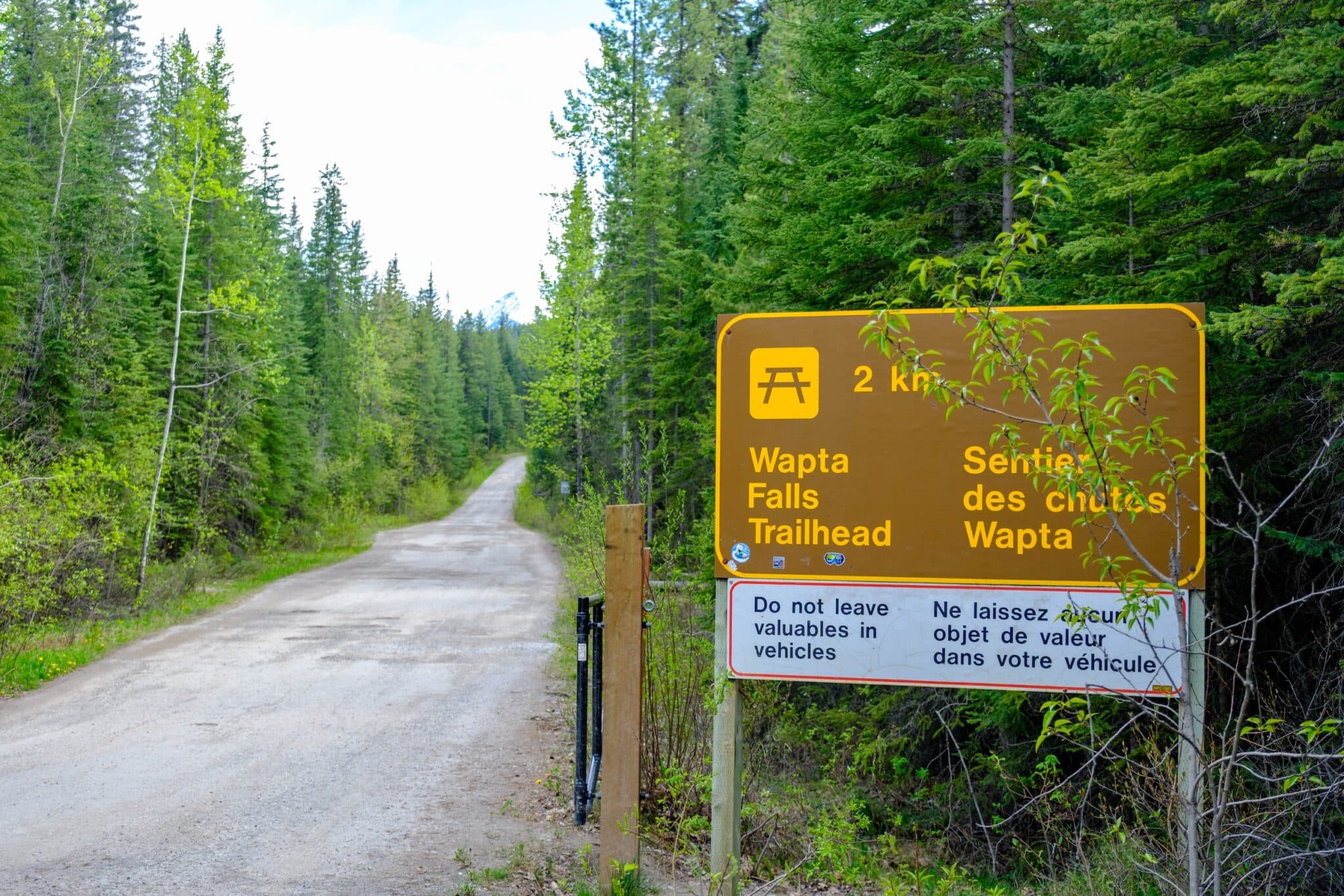 How to Hike to WAPTA FALLS in Yoho National Park