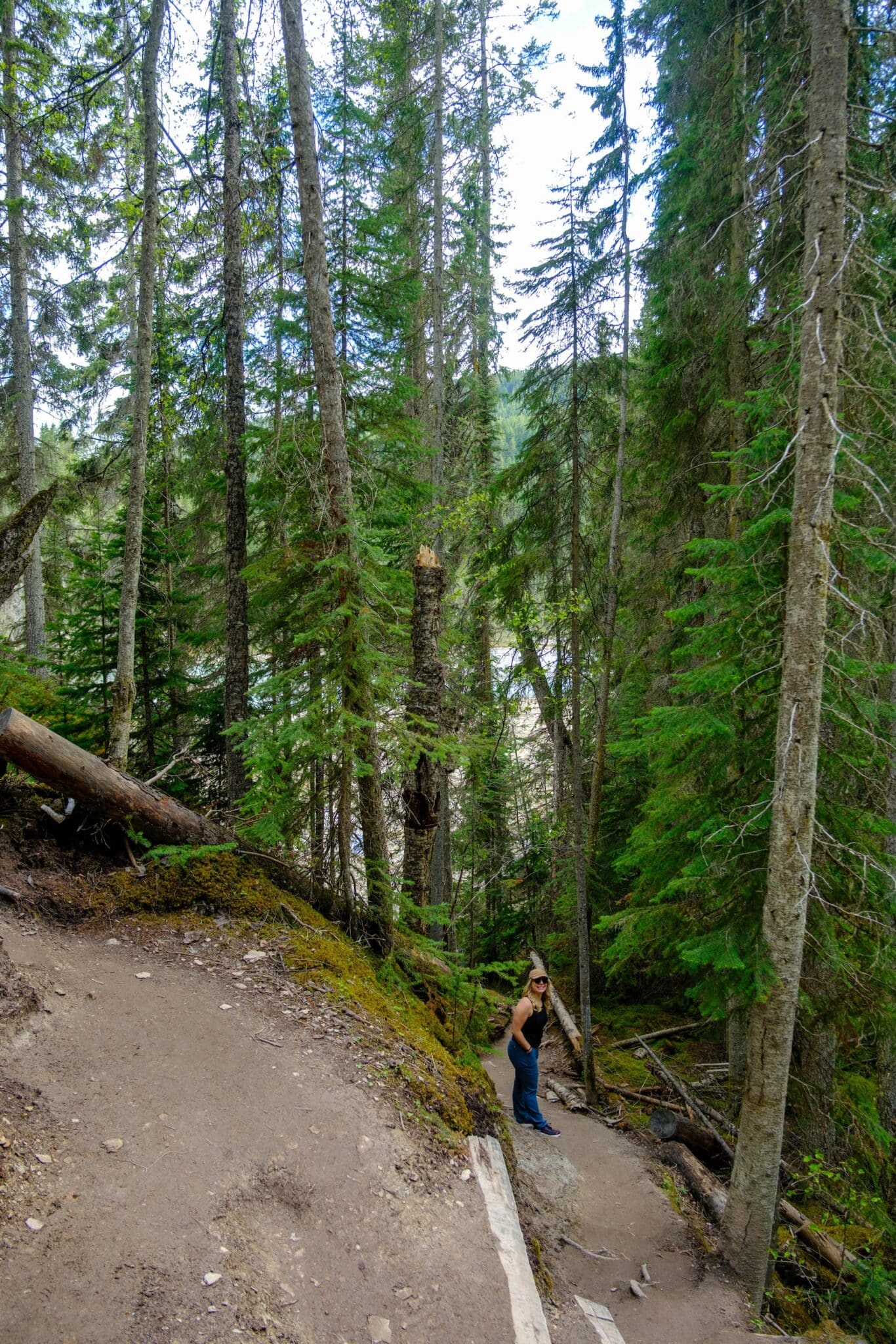 How to Hike to WAPTA FALLS in Yoho National Park