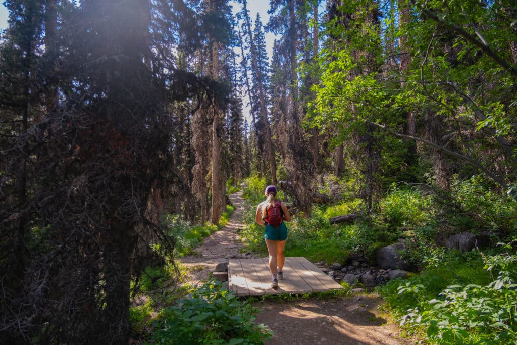 Boom Lake: An Easy Hike in Banff That is Perfect for All