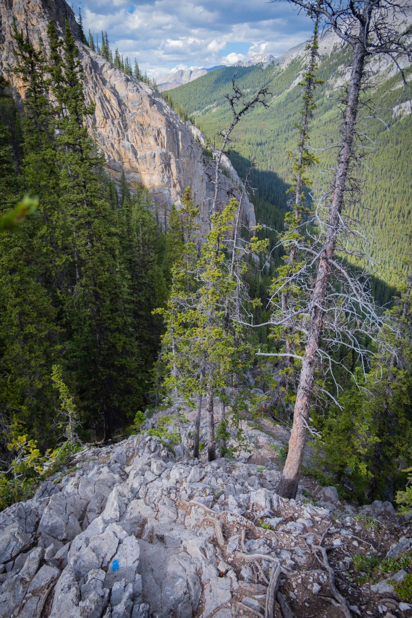 Hiking the Cory Pass Loop: What You Need to Know