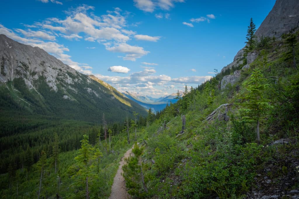 Hiking the Cory Pass Loop: What You Need to Know