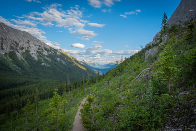 Hiking the Cory Pass Loop: What You Need to Know