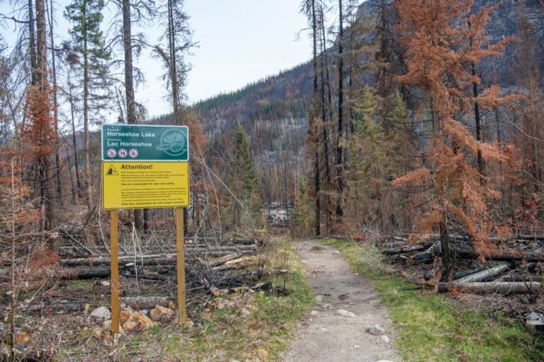 Is Jasper Still Worth Visiting After The Wildfires?