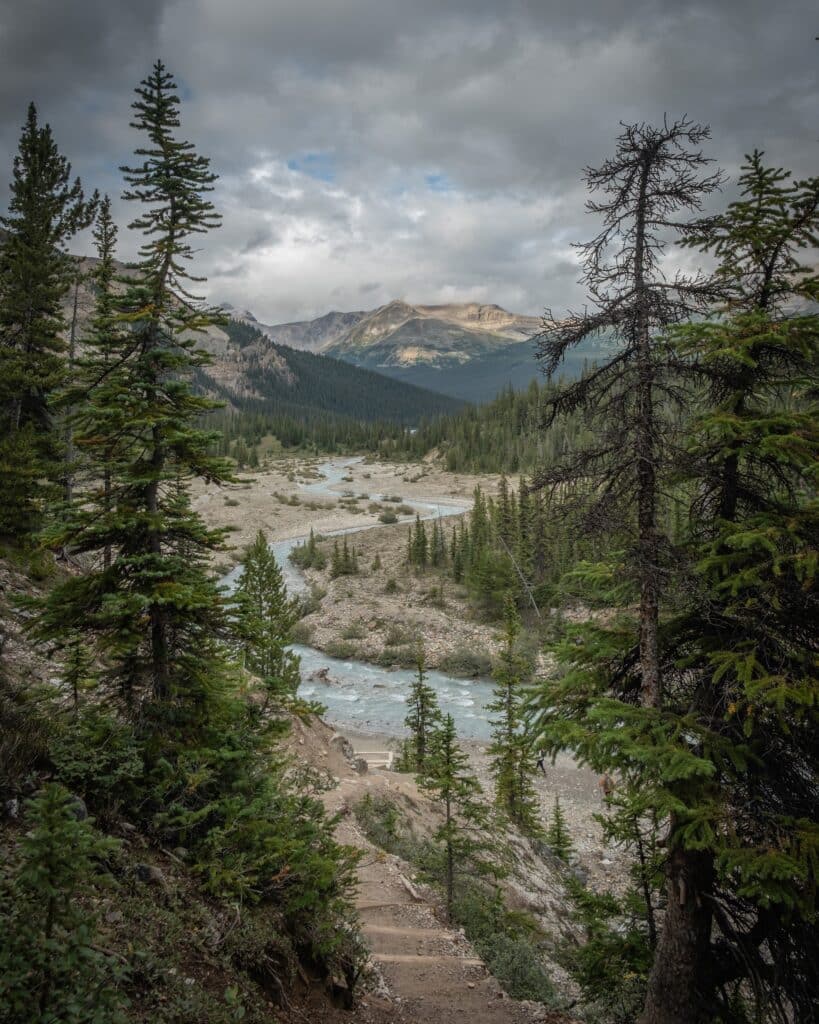 How to Hike to Bow Glacier Falls on the Icefields Parkway