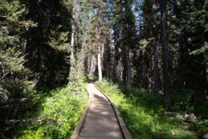 Boom Lake: An Easy Hike in Banff That is Perfect for All