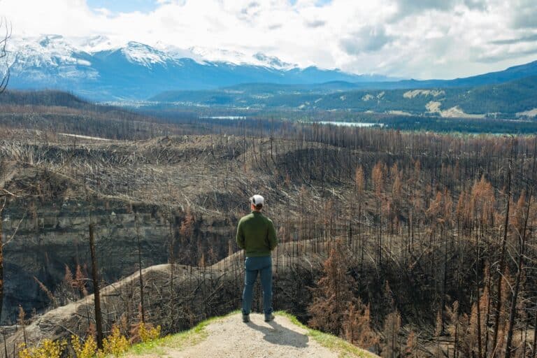 Is Jasper Still Worth Visiting After The Wildfires?
