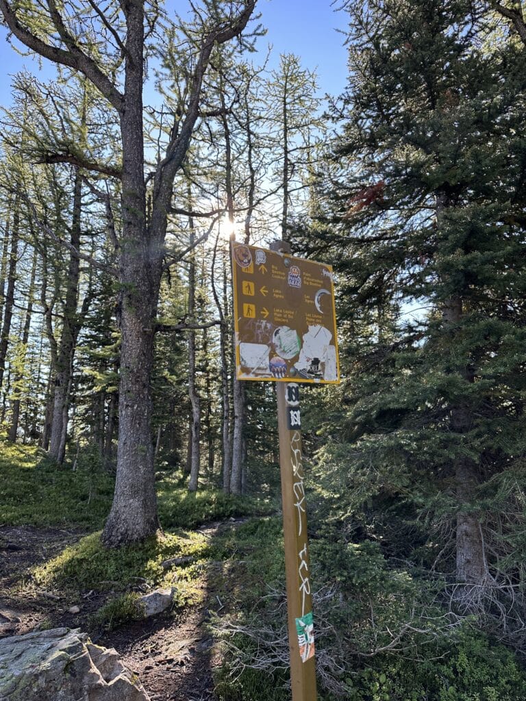 The Epic Lake Louise Circuit Hike