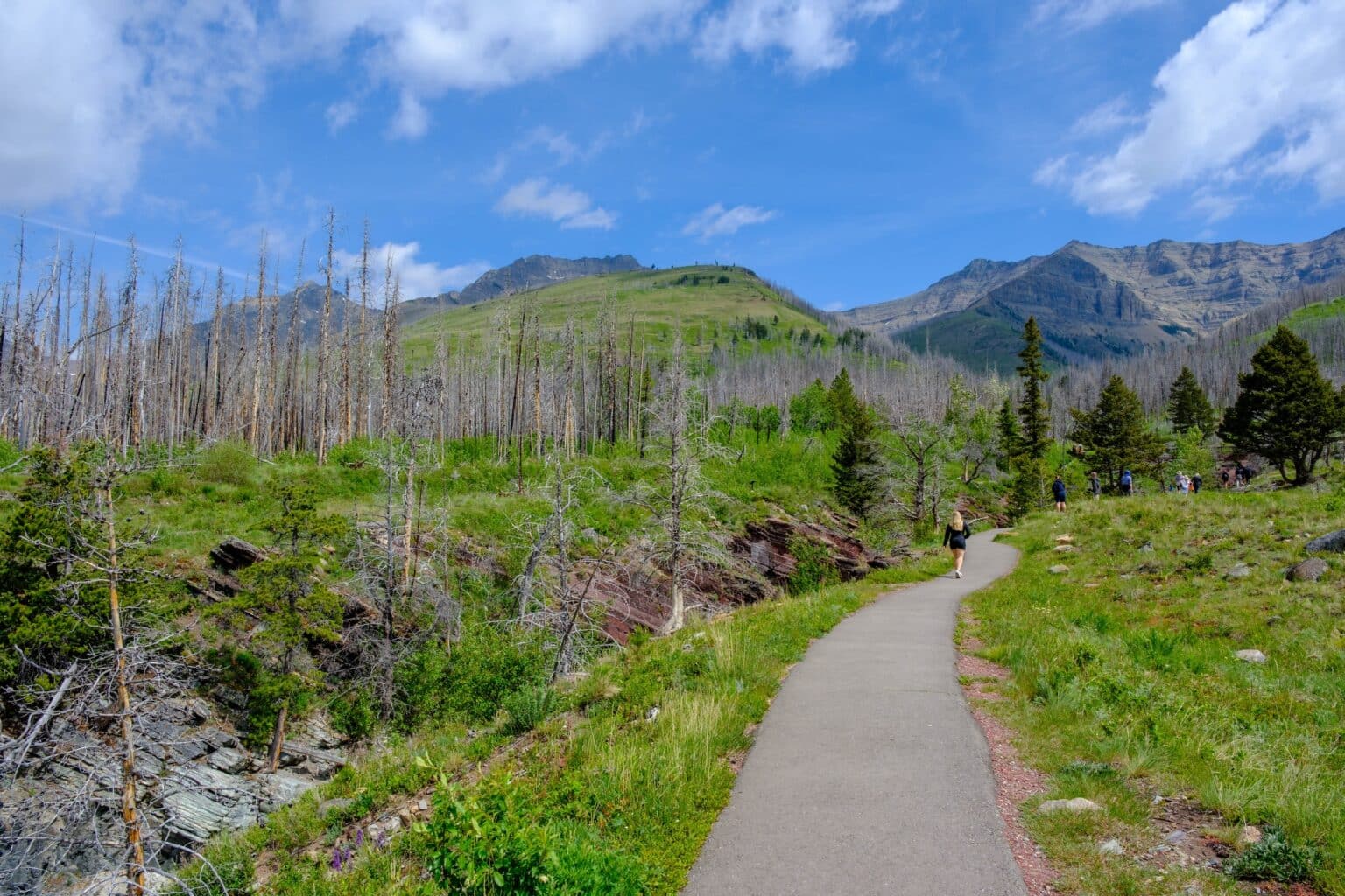 6 Things To Know BEFORE Visiting Red Rock Canyon in Waterton