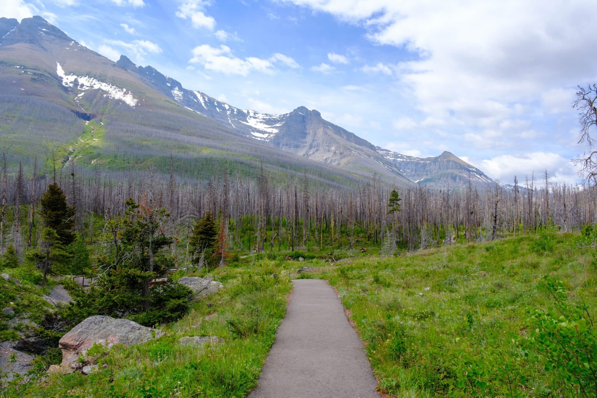 6 Things To Know BEFORE Visiting Red Rock Canyon in Waterton