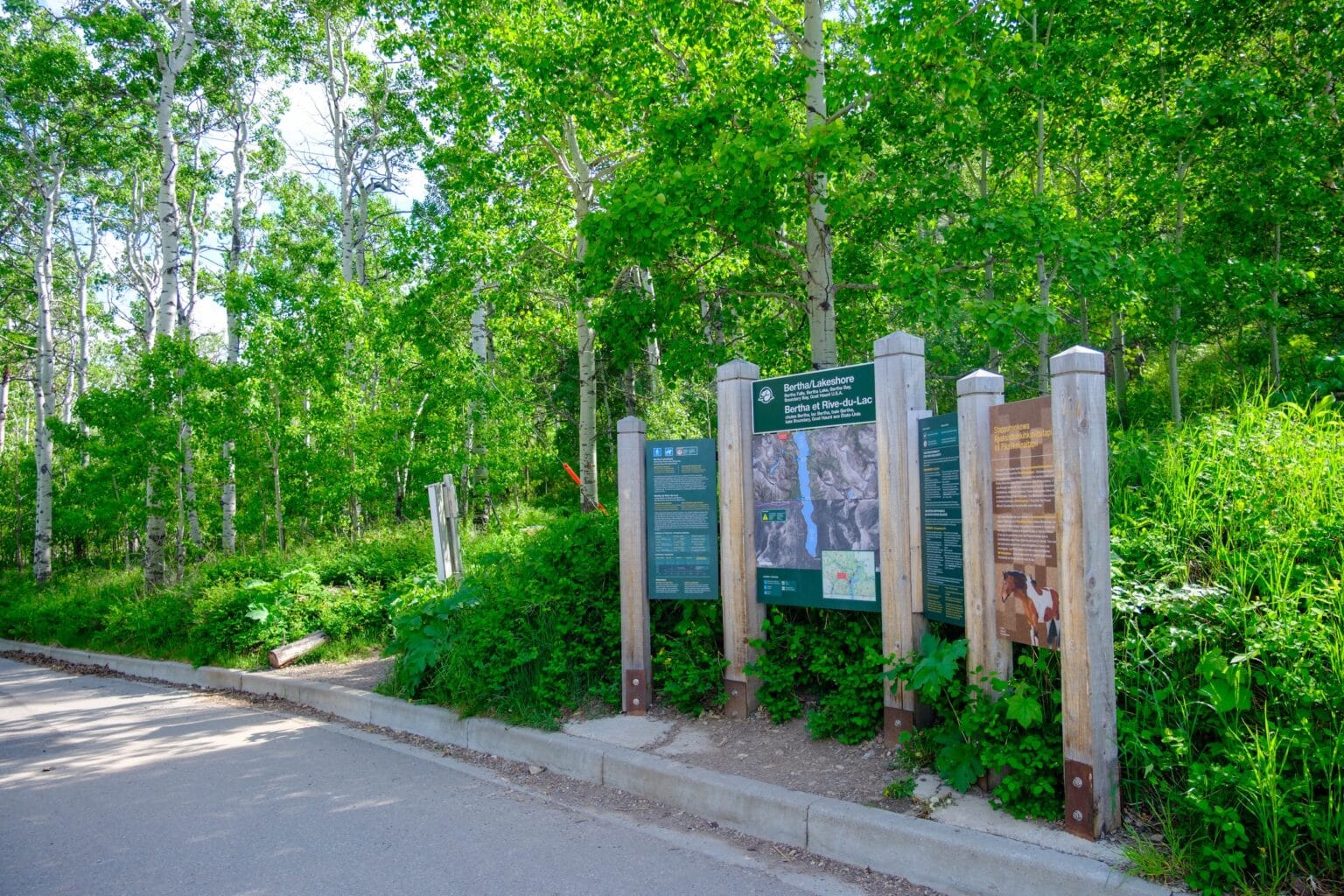 Bertha Falls & Lake Day Hike In Waterton