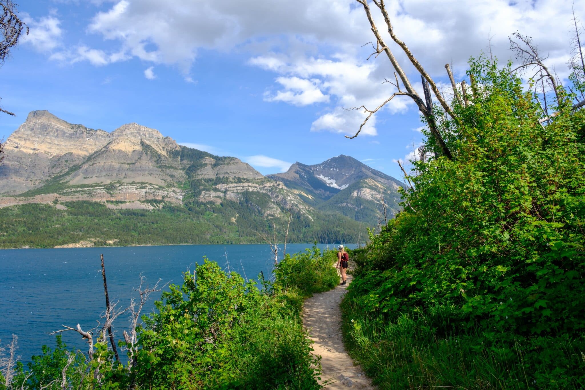 Bertha Falls & Lake Day Hike In Waterton