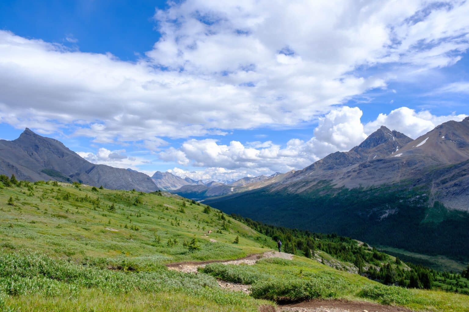A Wilcox Pass Hike Guide in Jasper National Park