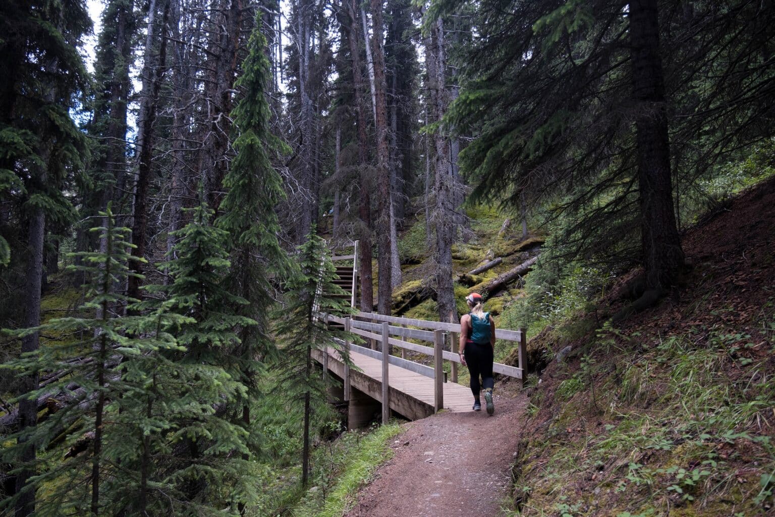 A Wilcox Pass Hike Guide in Jasper National Park